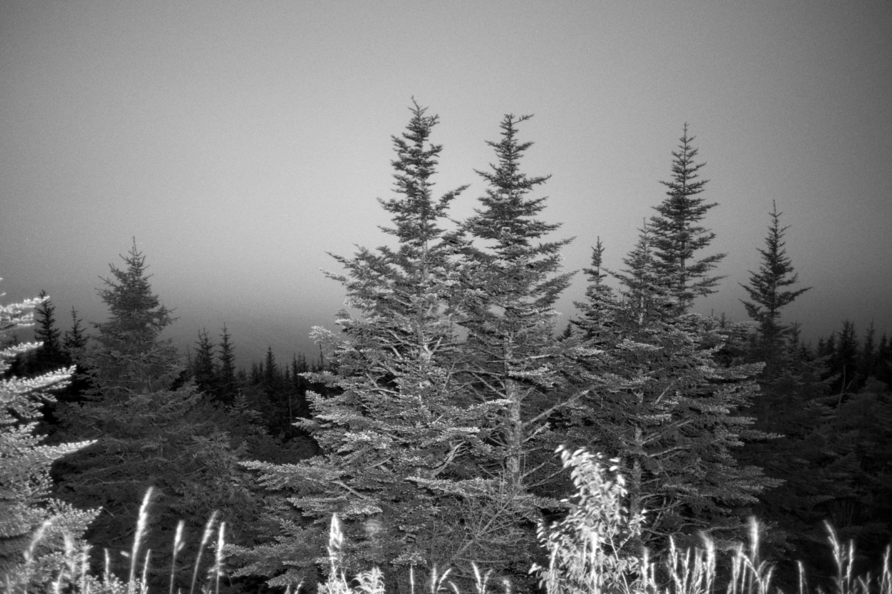 Meet Caleb Turner – CanvasRebel Magazine