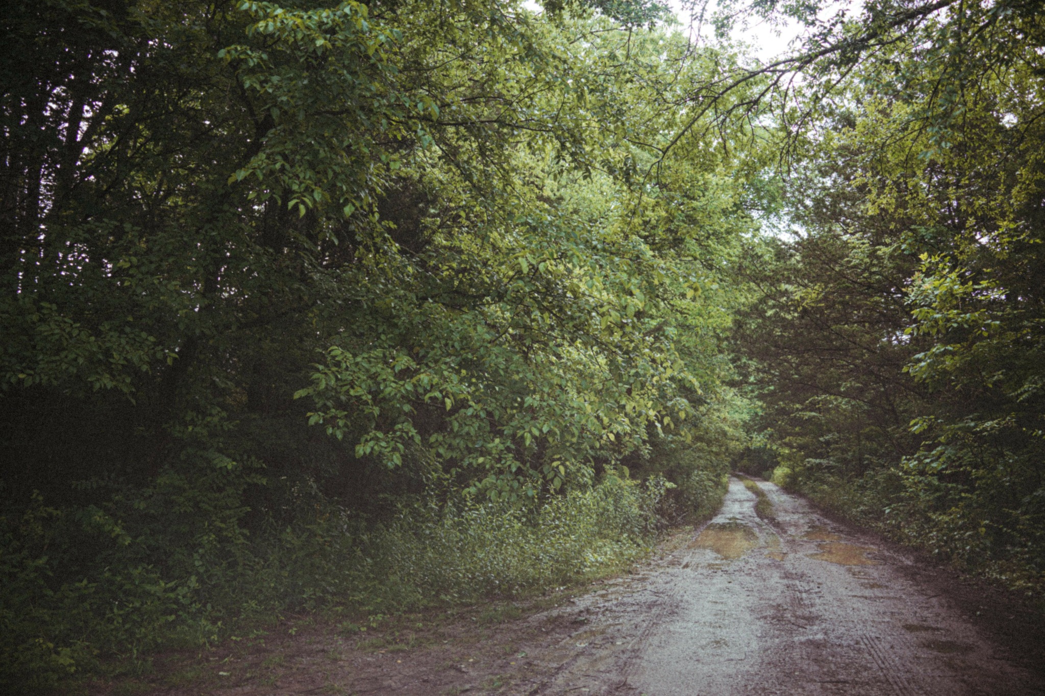 Meet Caleb Turner – CanvasRebel Magazine