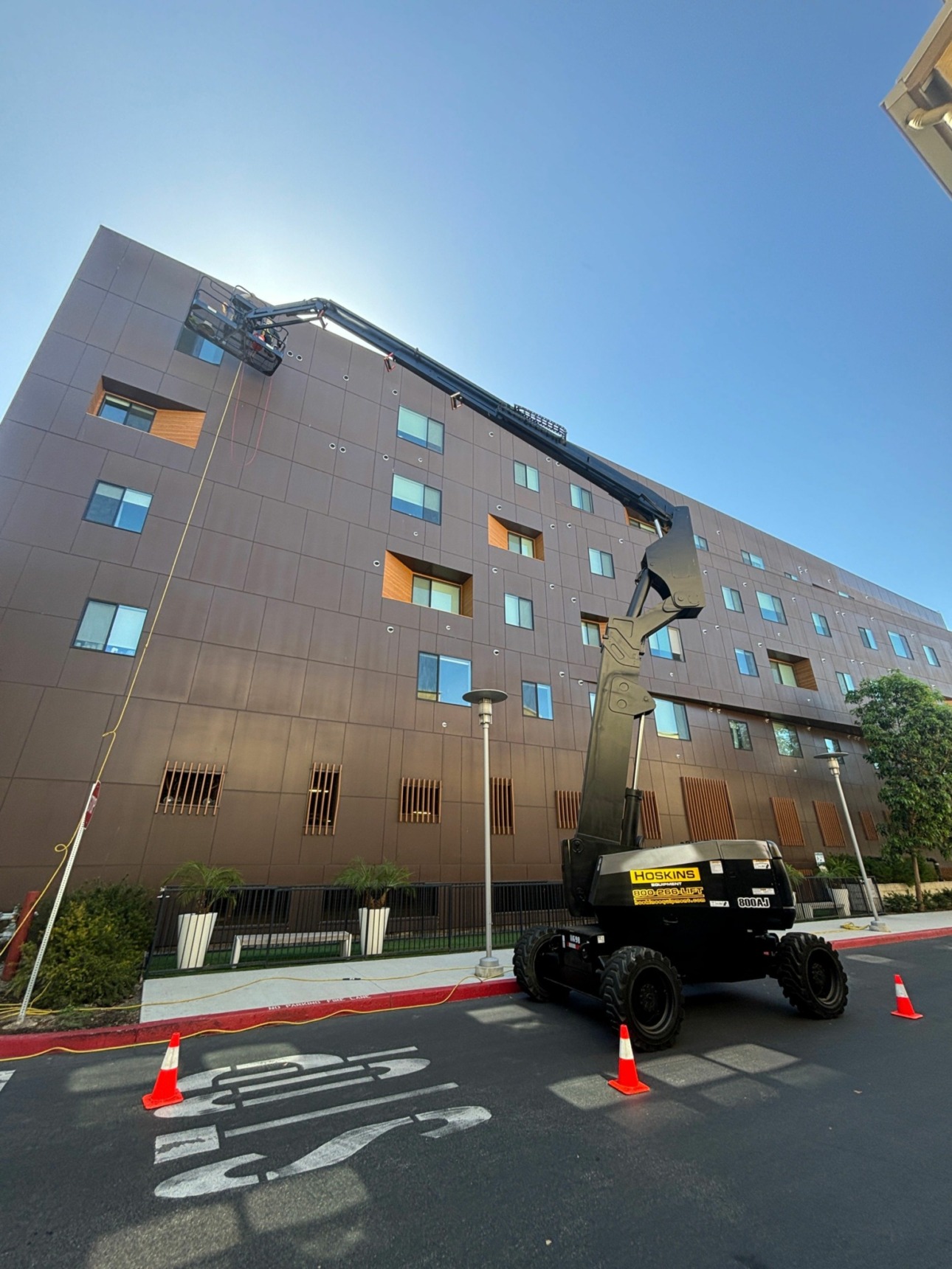 Meet Daniel Rust – CanvasRebel Magazine