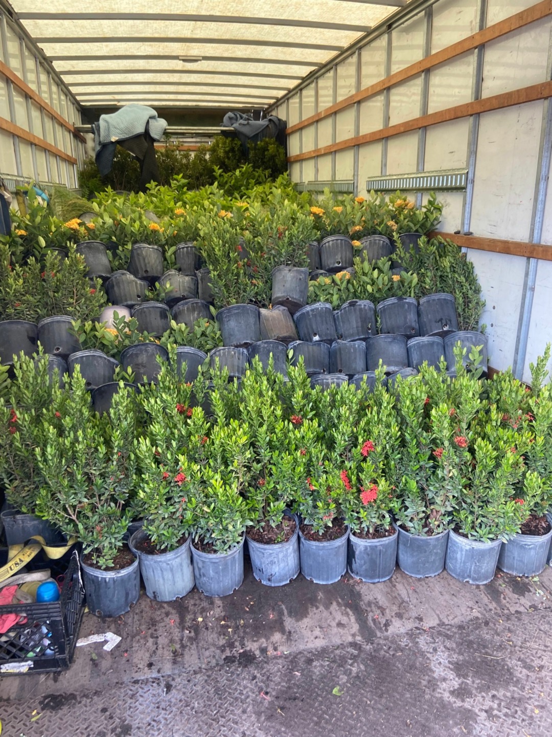 Meet EDWARD HOLDER – CanvasRebel Magazine