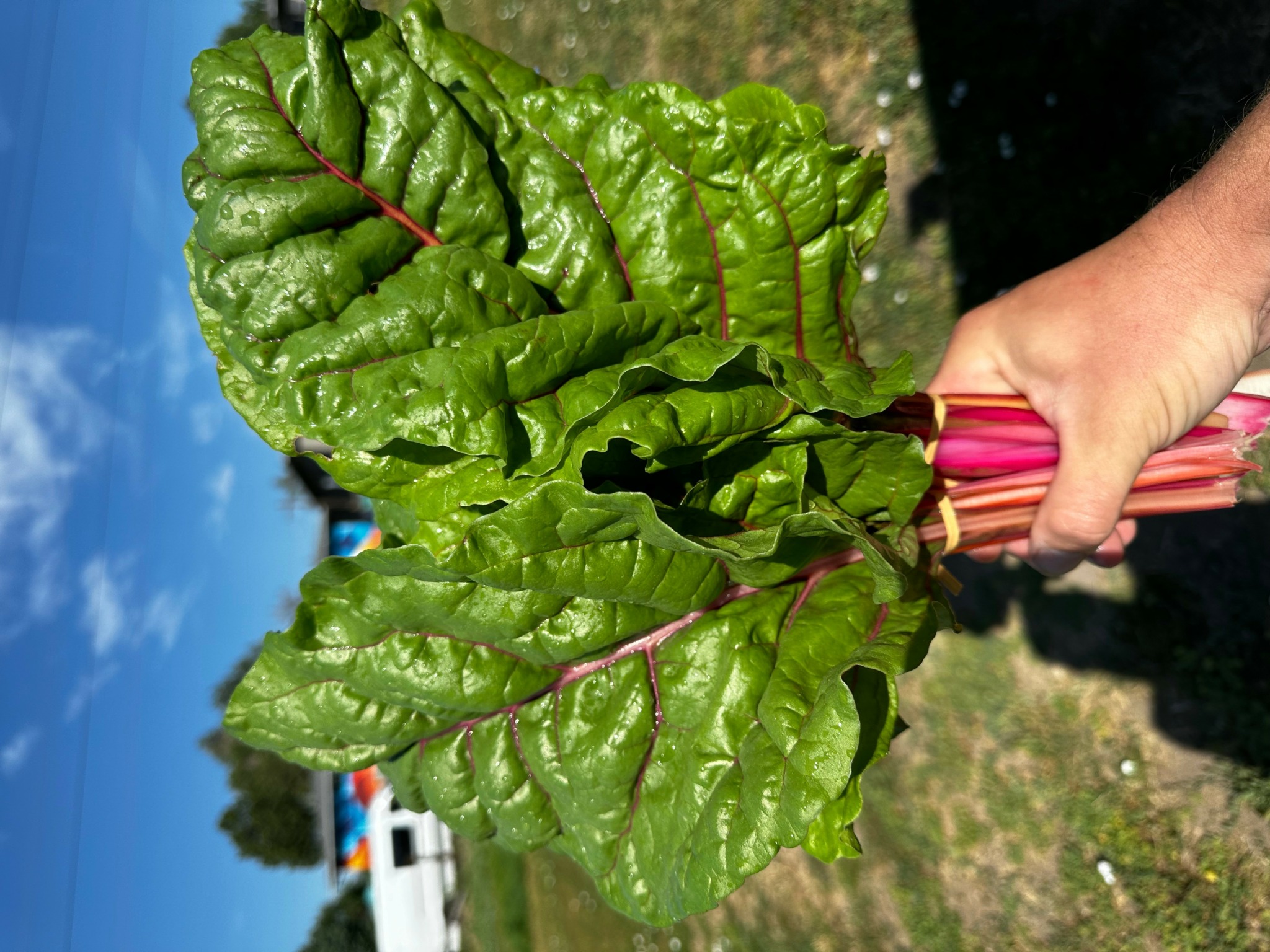 Meet Patrick Cheetham – CanvasRebel Magazine