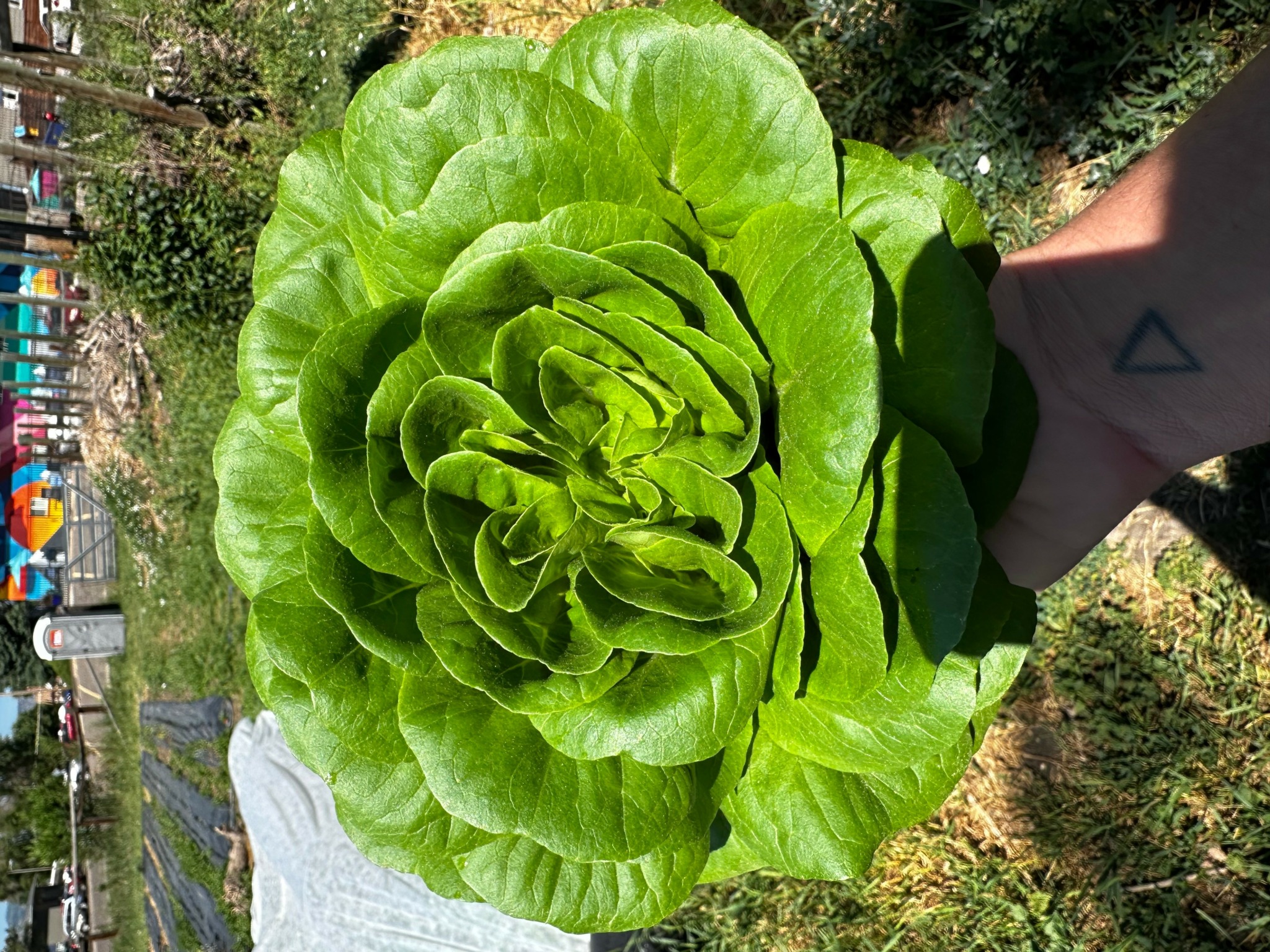 Meet Patrick Cheetham – CanvasRebel Magazine