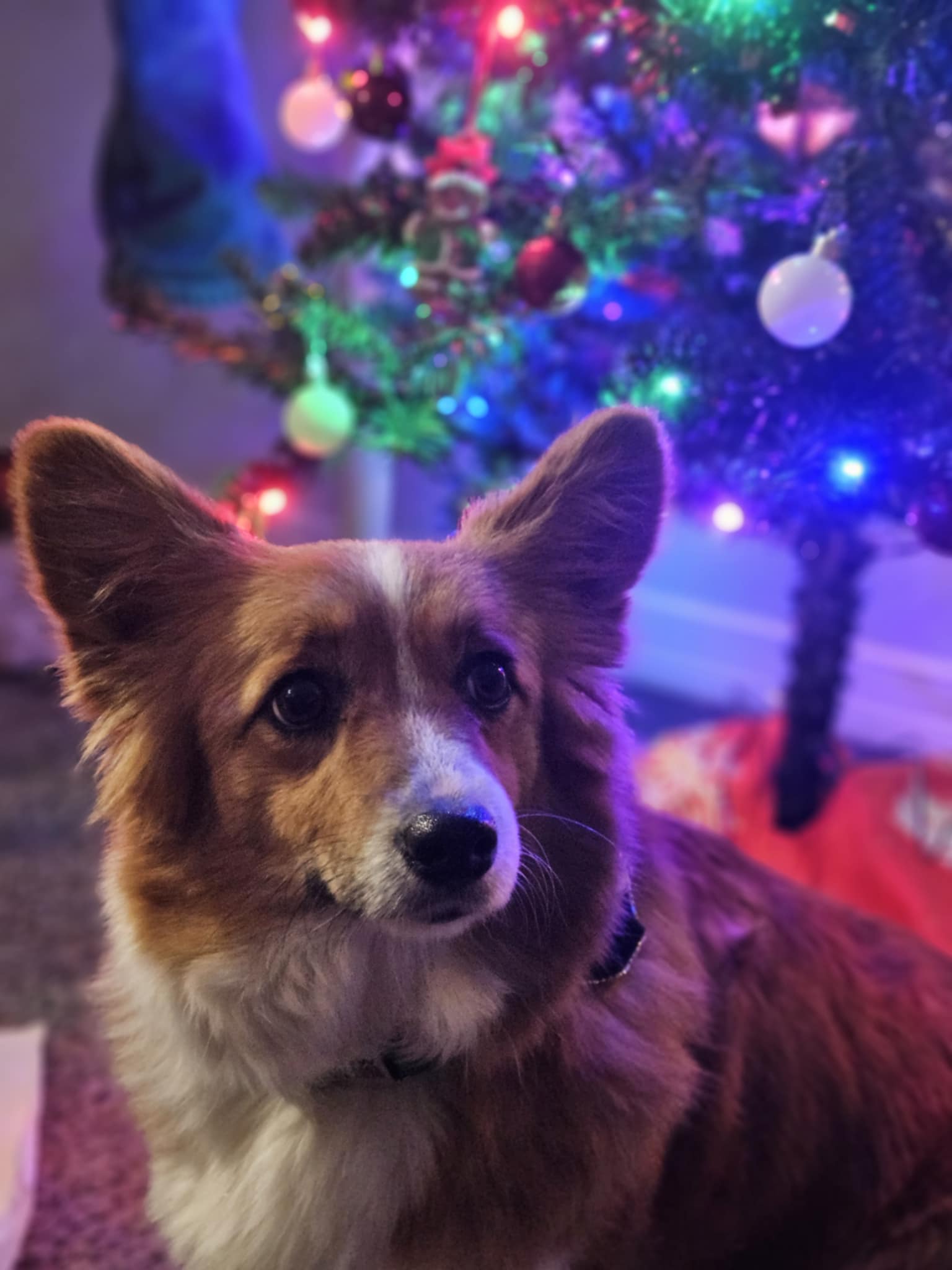 Rising Stars: Meet Kara George – CanvasRebel Magazine