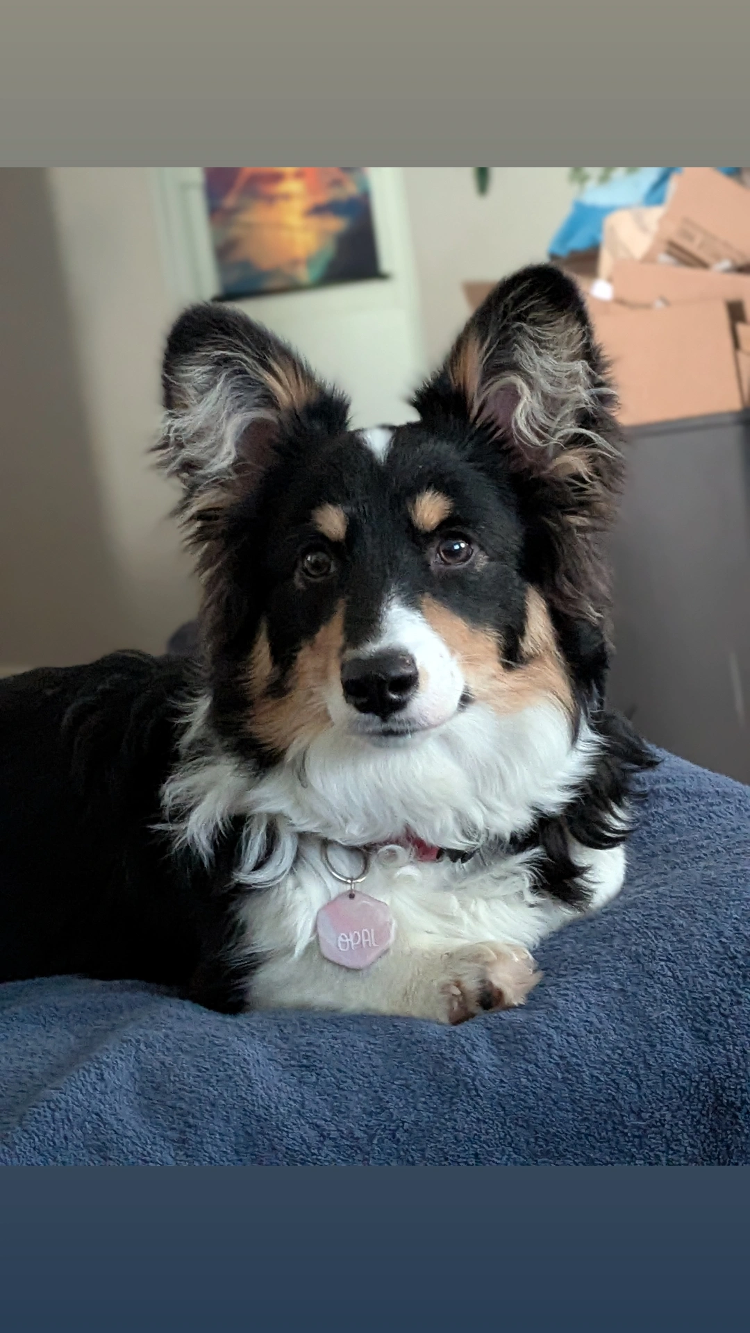 Rising Stars: Meet Kara George – CanvasRebel Magazine