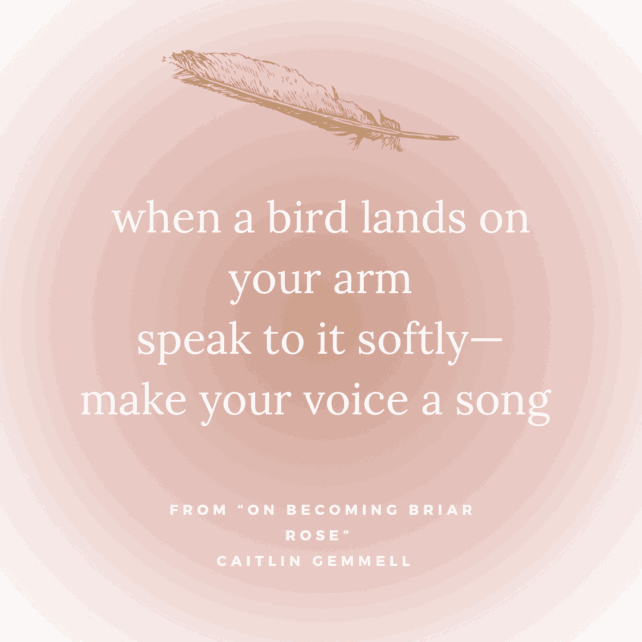 Check Out Caitlin Gemmell’s Story – CanvasRebel Magazine