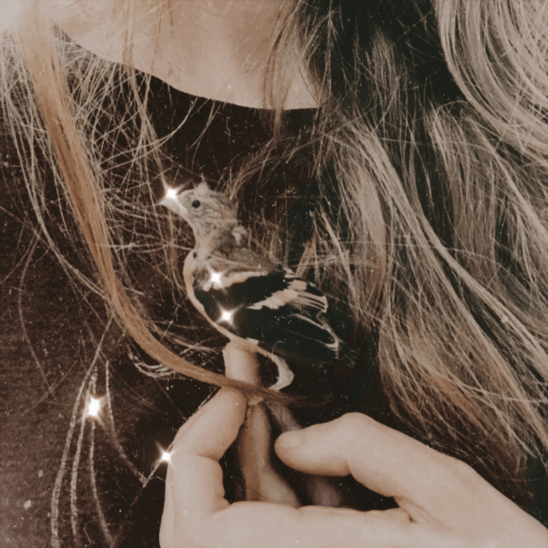 Check Out Caitlin Gemmell’s Story – CanvasRebel Magazine