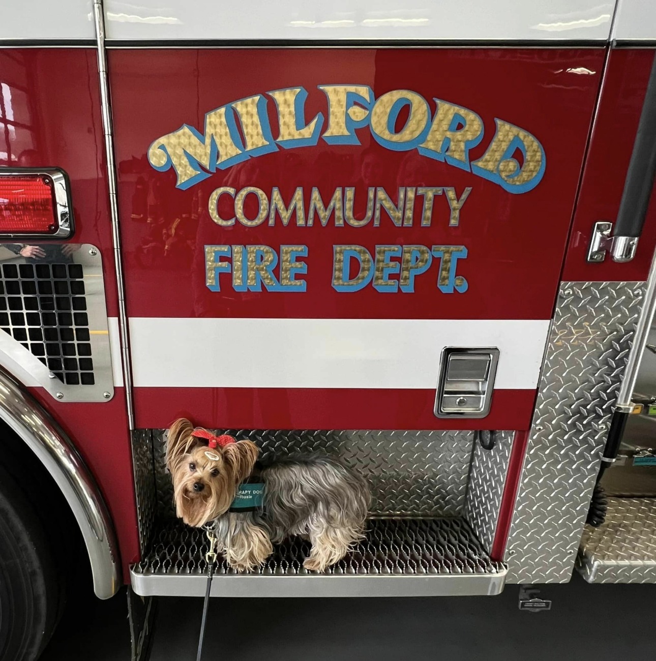 Meet Trish Smith – CanvasRebel Magazine