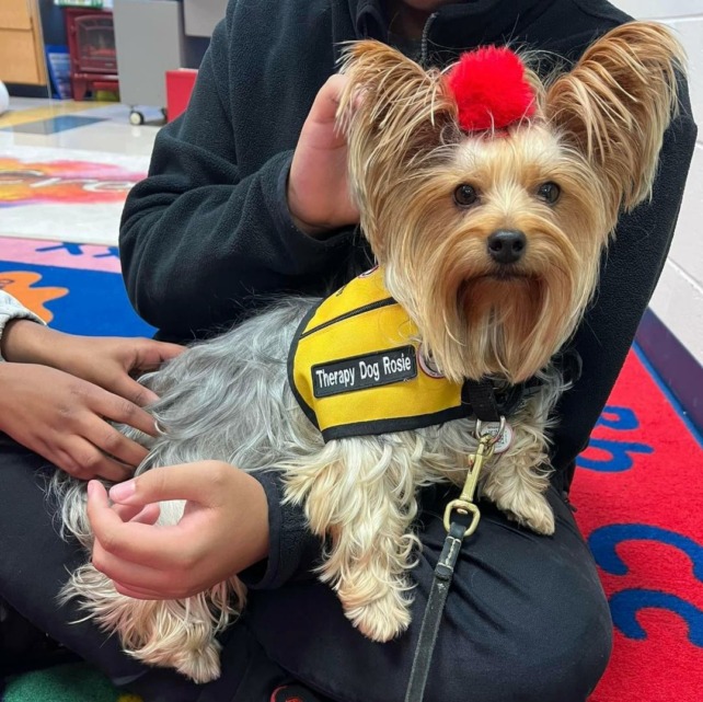 Meet Trish Smith – CanvasRebel Magazine