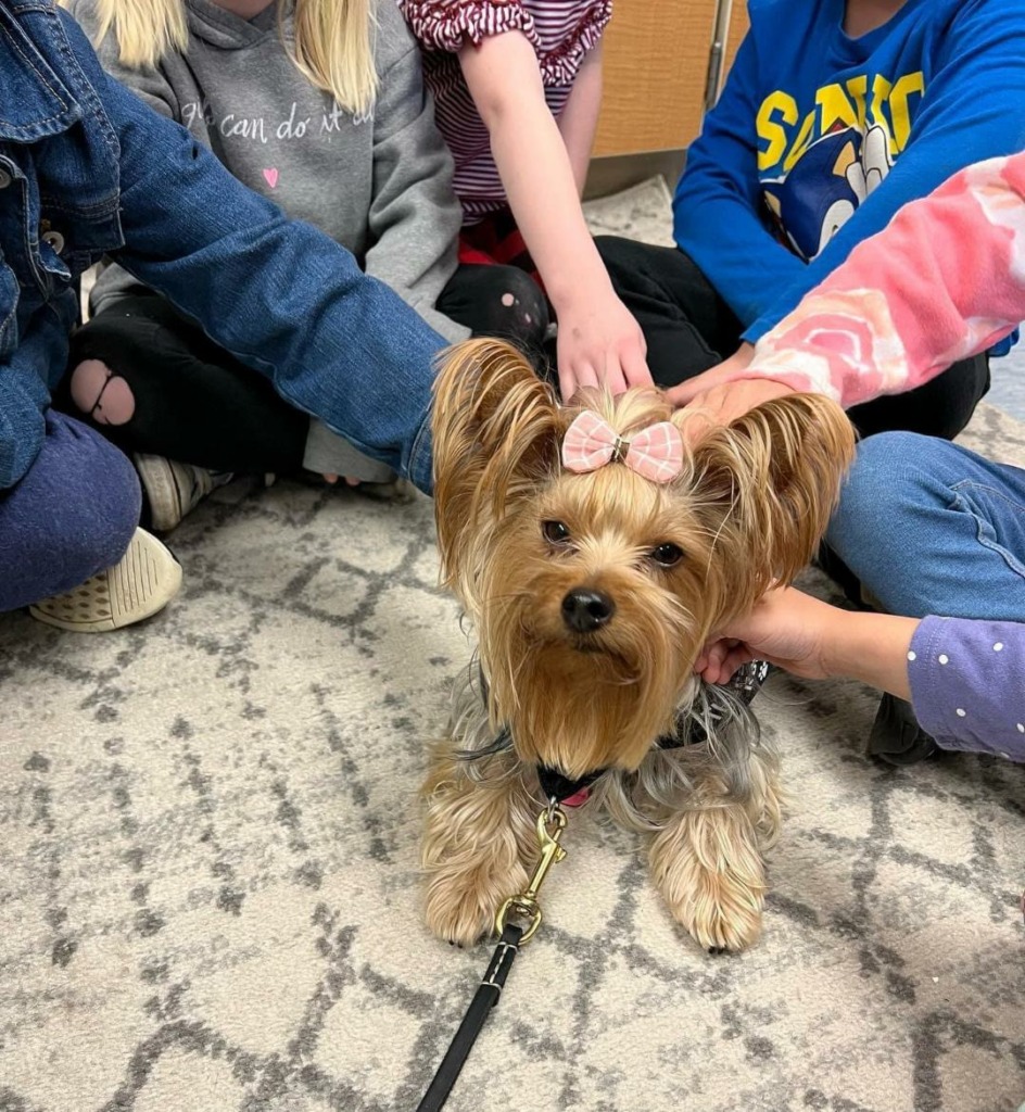 Meet Trish Smith – CanvasRebel Magazine