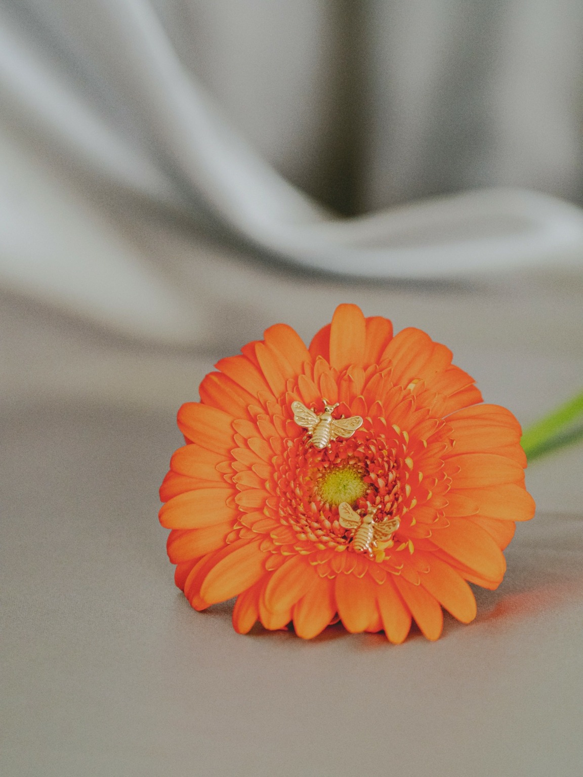 Meet Brandi Walker – CanvasRebel Magazine