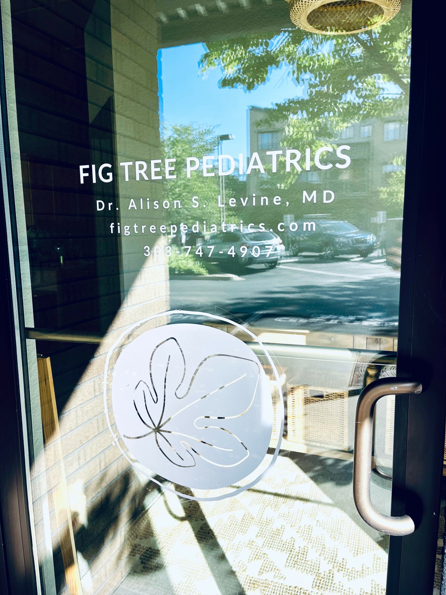 Meet Alison Levine – CanvasRebel Magazine