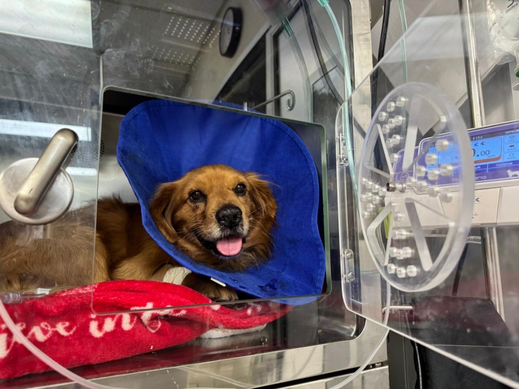 Meet Cathy Stanley – CanvasRebel Magazine