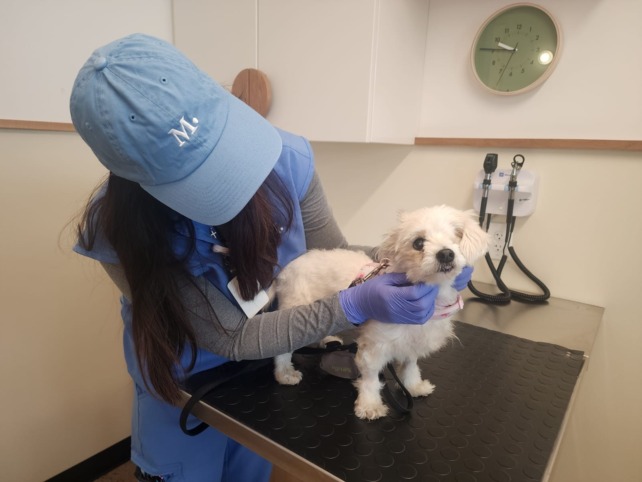 Meet Cathy Stanley – CanvasRebel Magazine