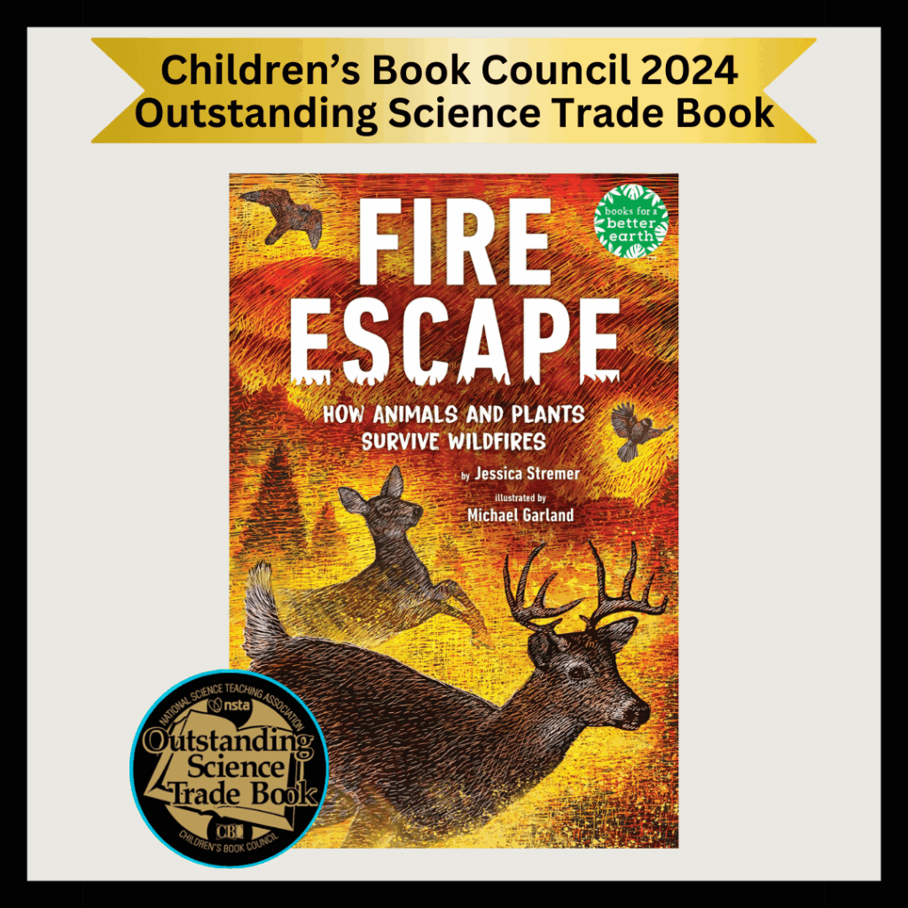 Meet Jessica Stremer – CanvasRebel Magazine