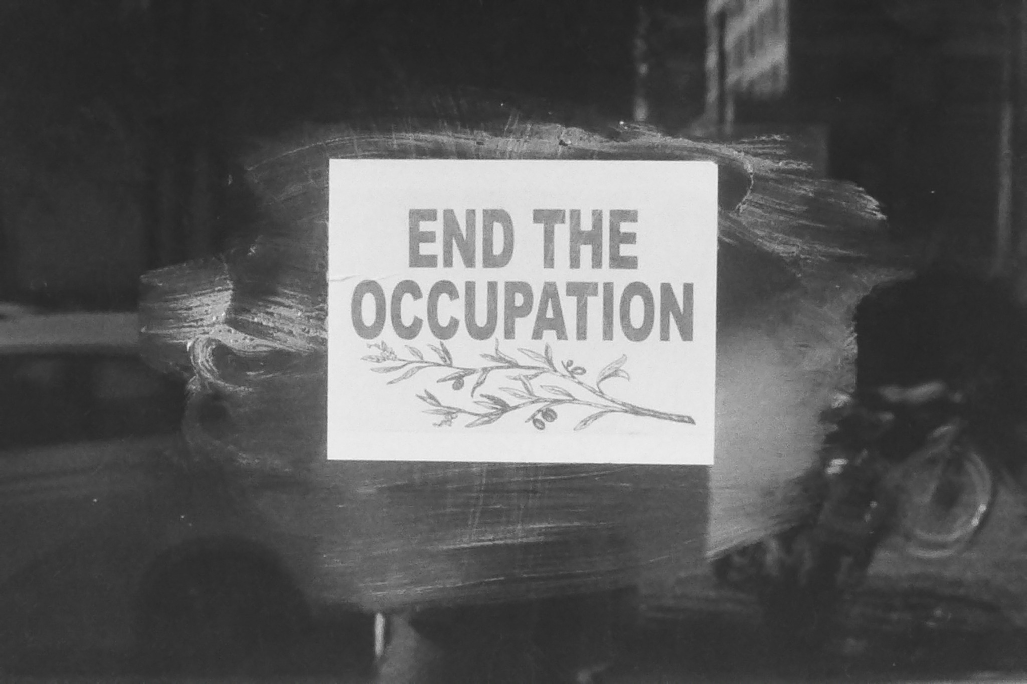 Meet Willow James – CanvasRebel Magazine